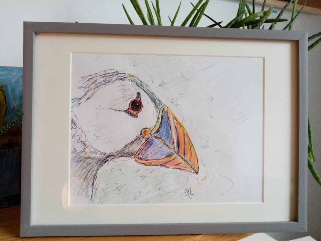 Puffin Pen and Watercolour Pencil Illustration Drawing Framed - Etsy