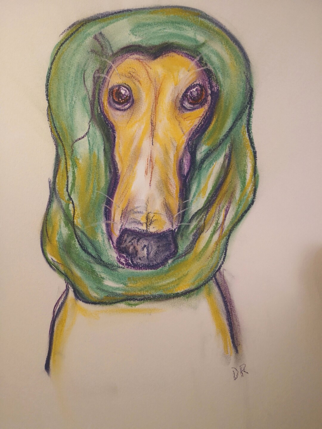 Fawn Greyhound in Pastel. A3 Size. Original Signed Artwork. - Etsy