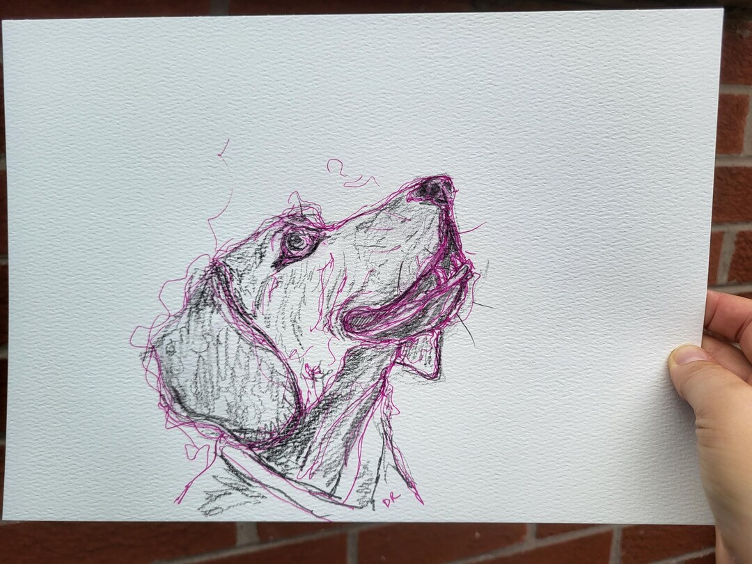 Beagle Hound in Pen and Graphite. Original Artwork. A4 Size. - Etsy