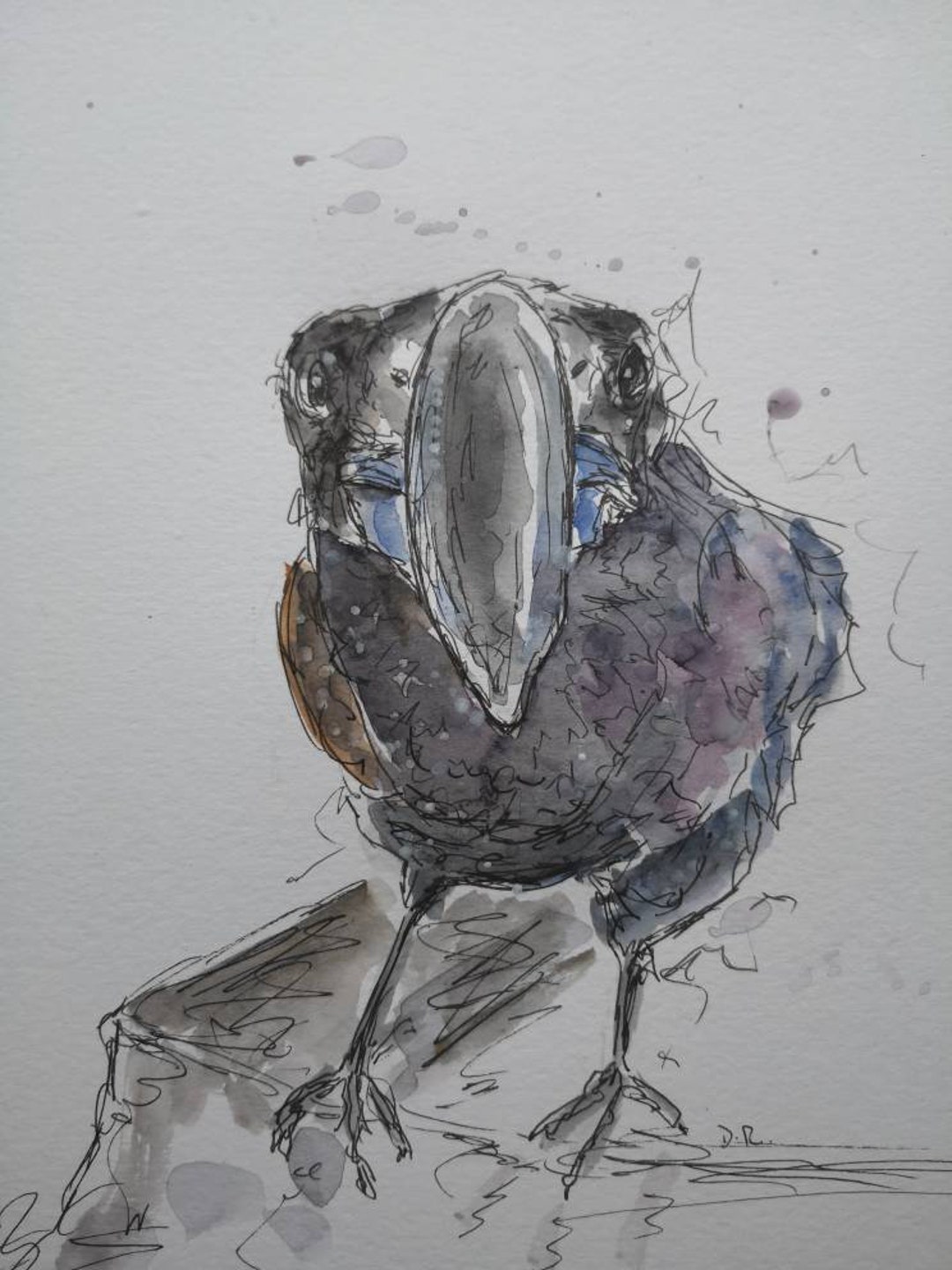 Raven Pen and Watercolour Illustration. A4 Size. Original Work. - Etsy UK