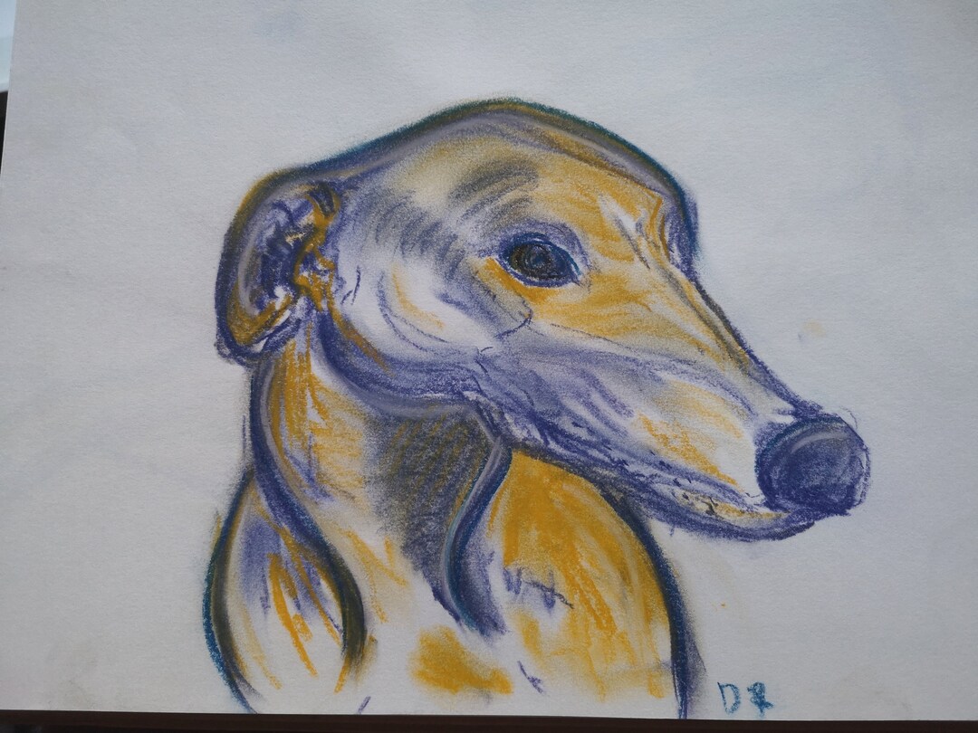 Fawn Greyhound in Pastel. A4 Size. Original Signed Artwork. - Etsy