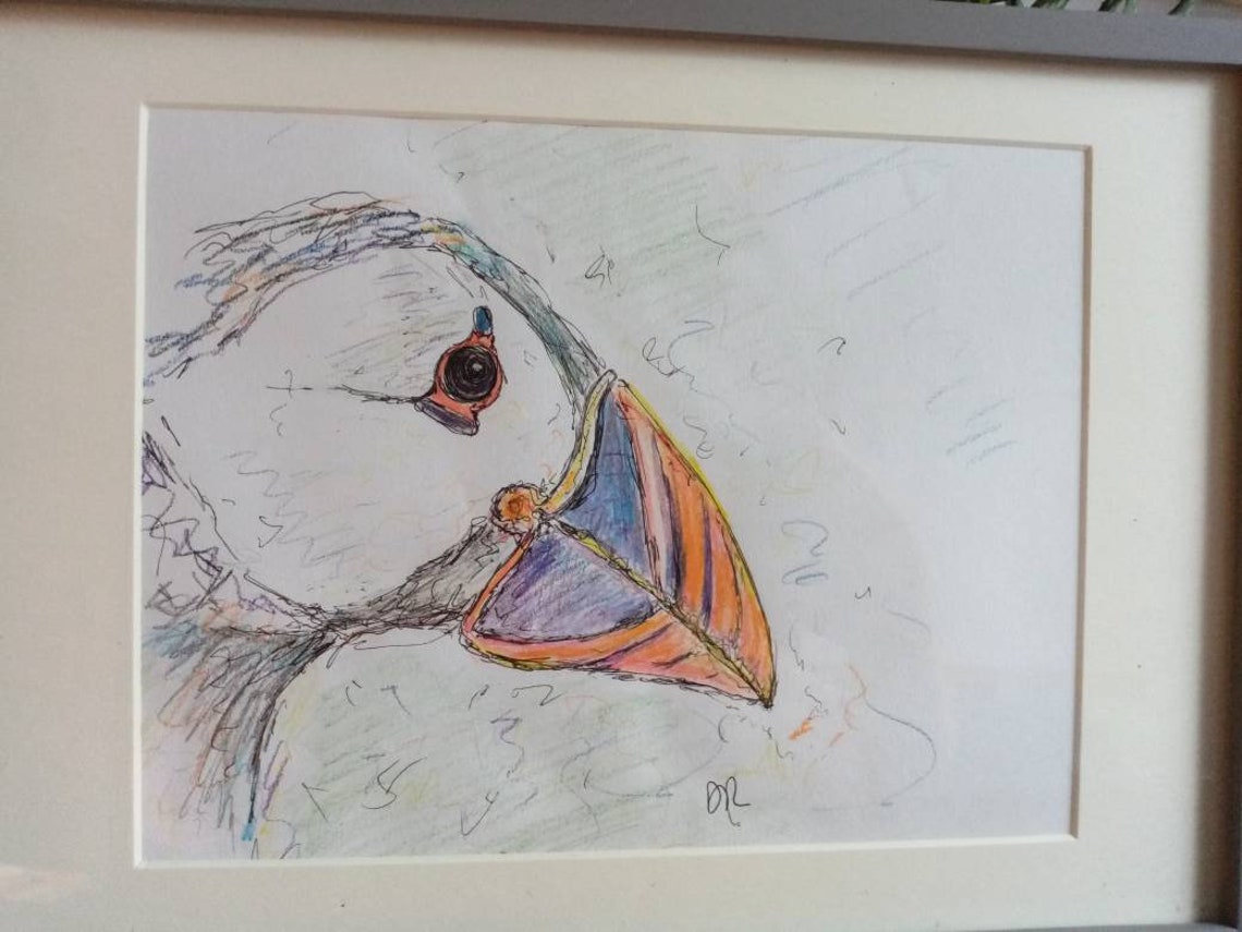 Puffin Pen and Watercolour Pencil Illustration Drawing Framed - Etsy