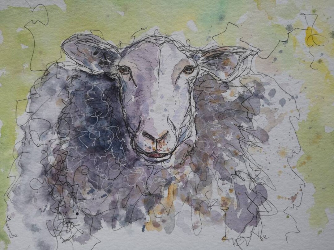 Woolly Sheep Line and Watercolour Painting. Original Painting ...
