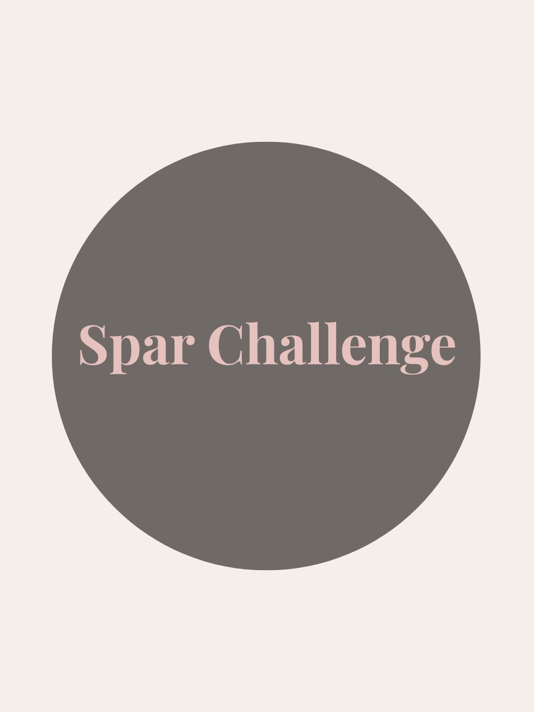 Savings Challenge Printable | Spar Challenge PDF | Money Saving Tracker ...