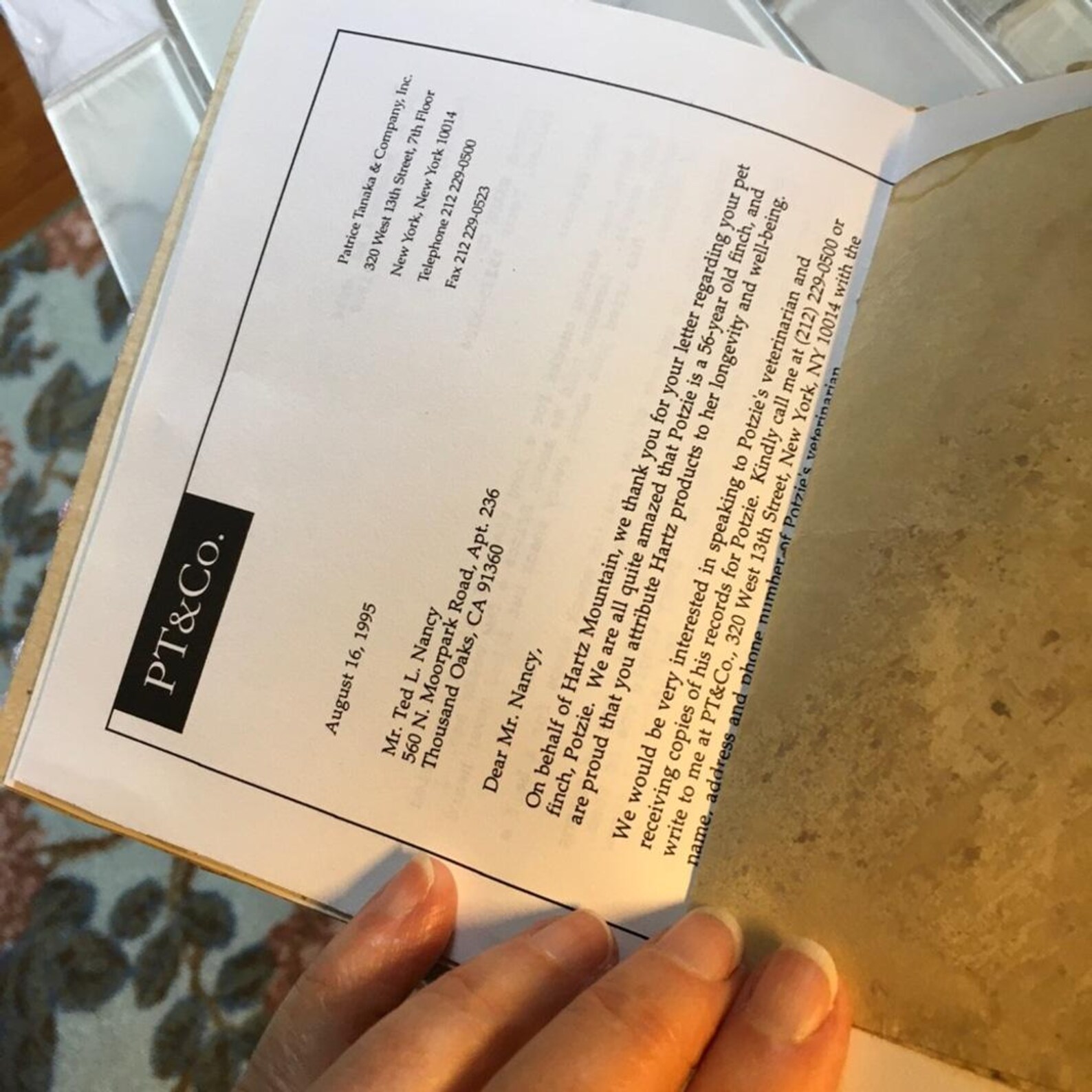 Journal Handmade Journal 50 Pages 5x6 Plus Some Ephemera to Use to ...