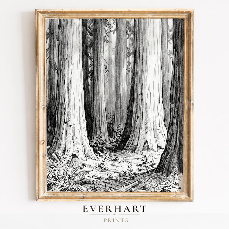 Graphite Drawing Wildlife - Etsy