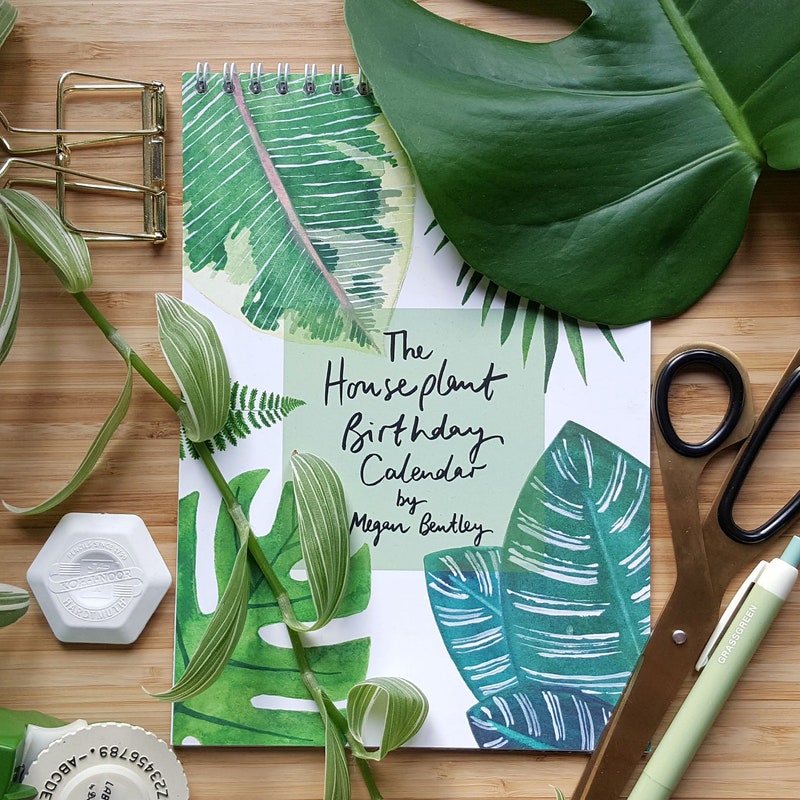 Perpetual Plants - Etsy UK