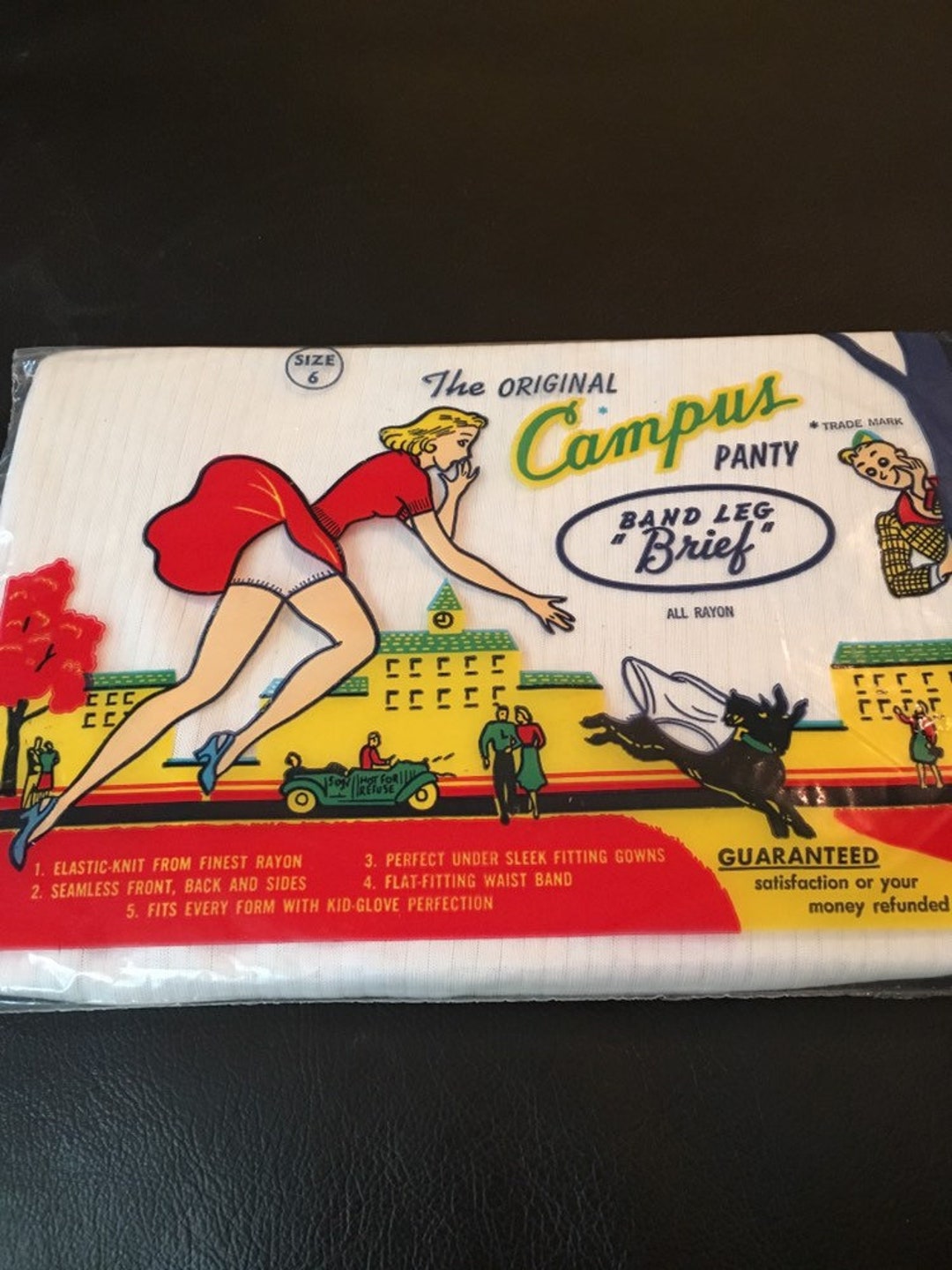 Vintage the Original Campus Panty 5 Packs 5 Pairs Rayon Band Leg Brief ...