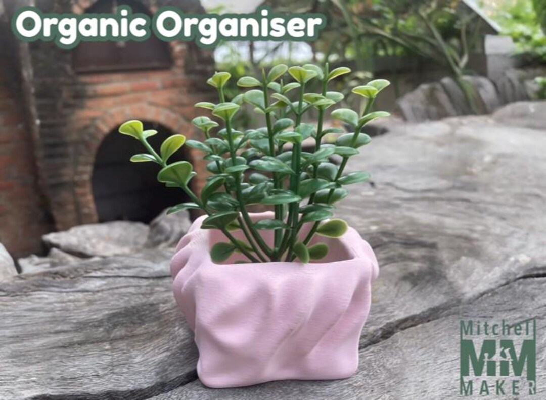 Organic Organiser – Nature-inspired Storage Box | Digital .STL File for ...