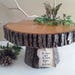 11 Wood Cake Stand, Log Cake Stand, Tree Bark Cake Stand, Tree Slice ...