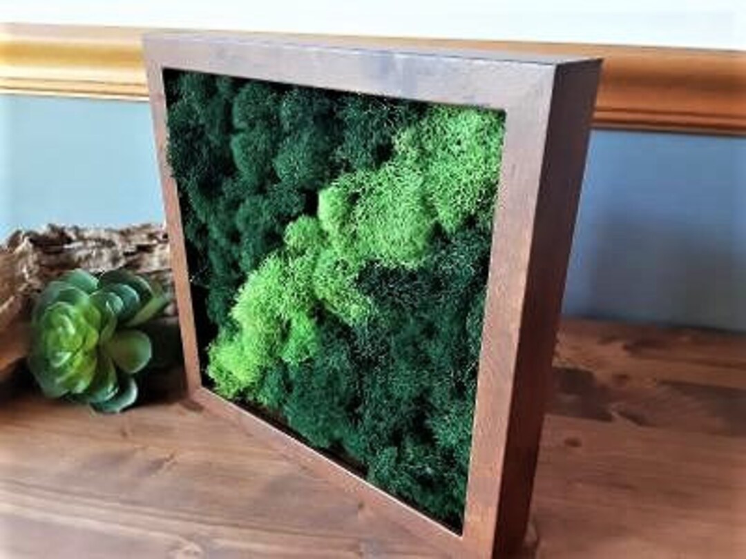 Preserved Moss Art, Moss Art Frame, Living Wall Garden, Moss Picture ...