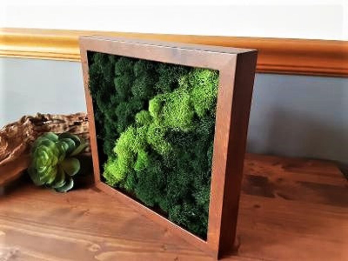 Preserved Moss Art, Moss Art Frame, Living Wall Garden, Moss Picture ...