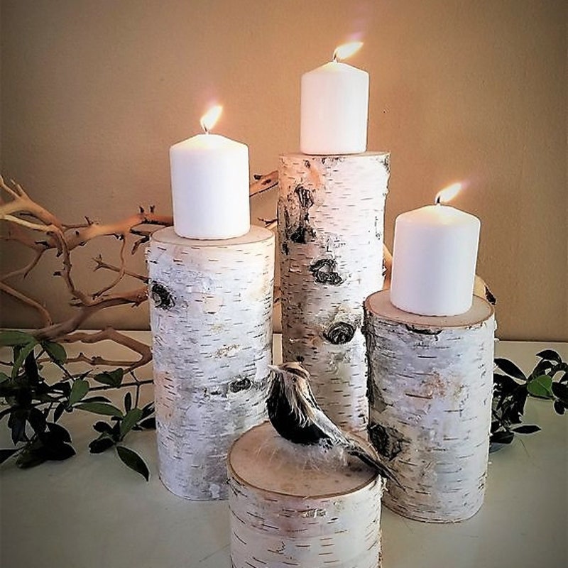 Birch Logs - Etsy