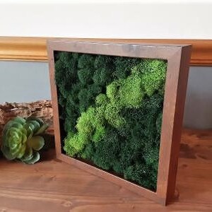 Preserved Moss Art, Moss Art Frame, Living Wall Garden, Moss Picture ...