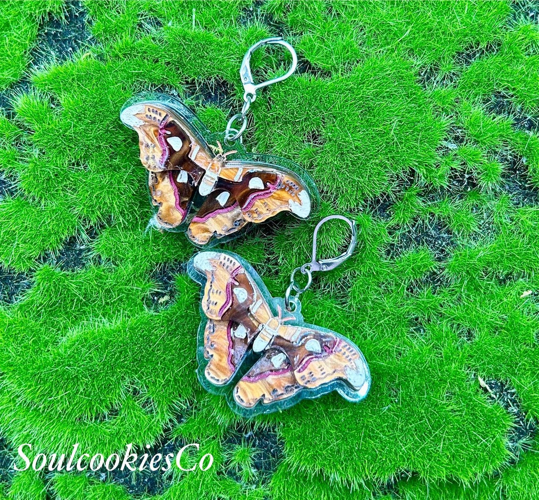 Realistic Moth Laser Cut Acrylic Earrings - Etsy