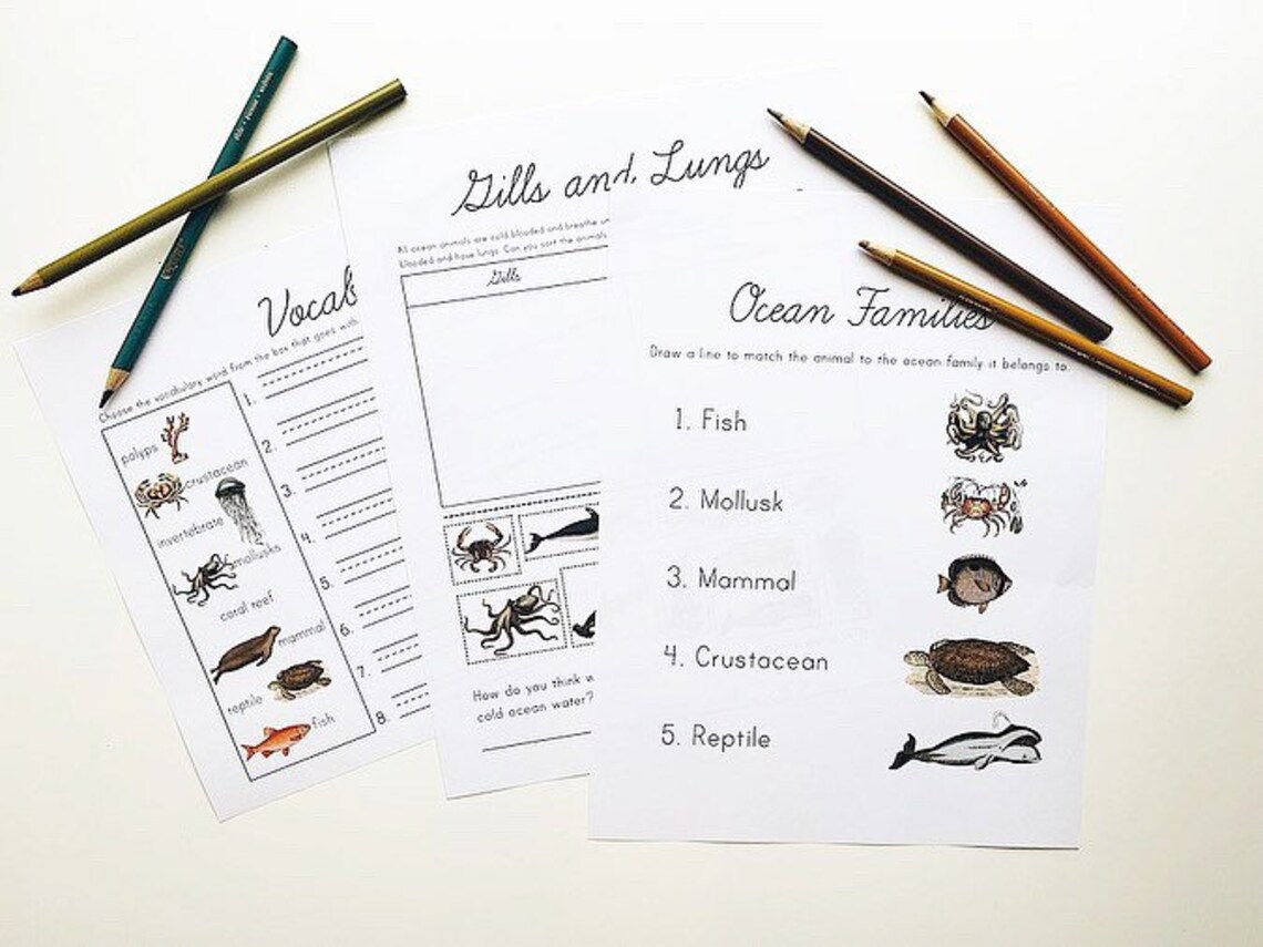 Ocean Unit Study-digital DOWNLOAD | Etsy