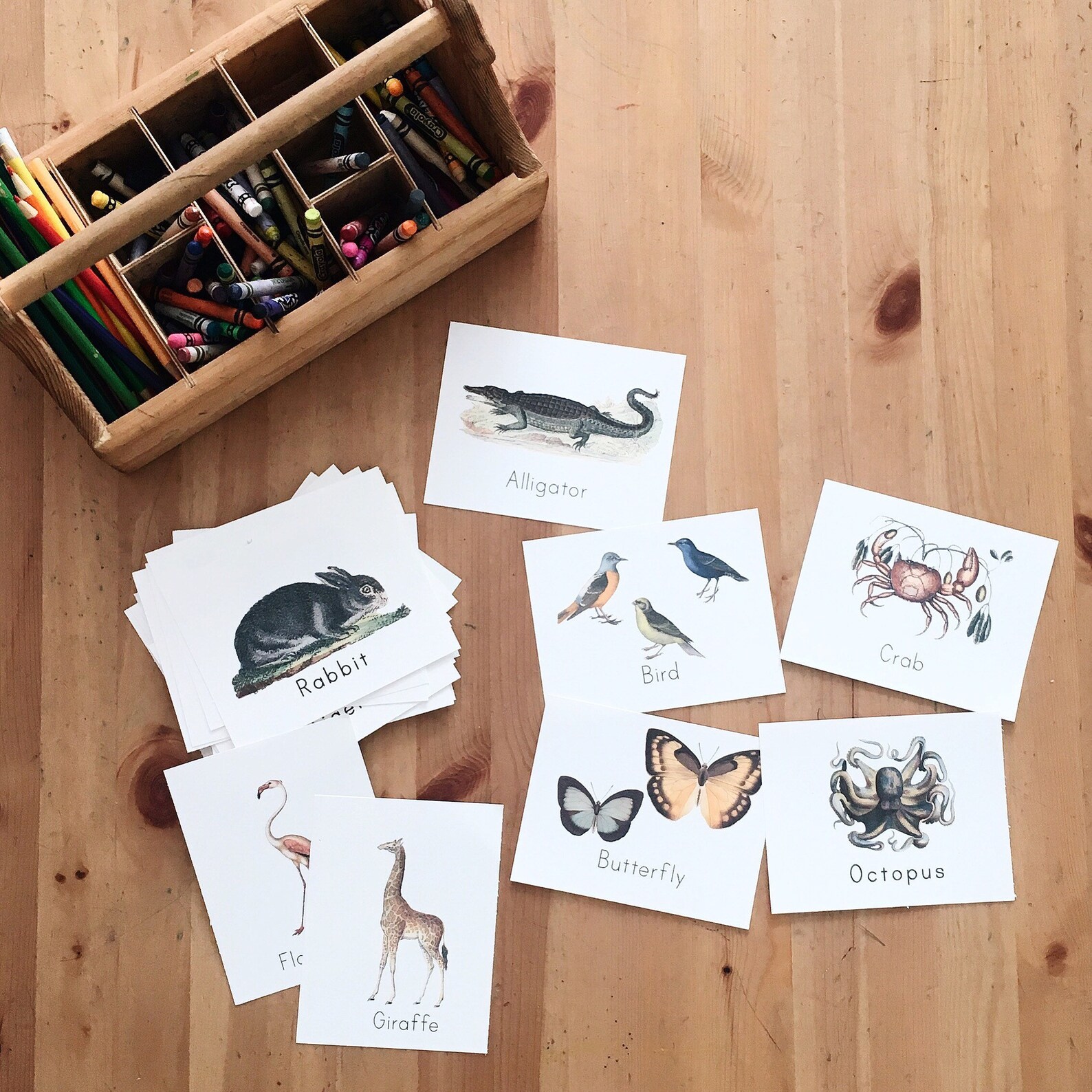 Vintage Animal Flashcards-digital DOWNLOAD - Etsy