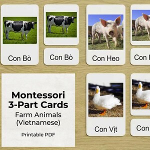 Montessori 3-part Cards Farm Animals (vietnamese) | Printable PDF - Etsy