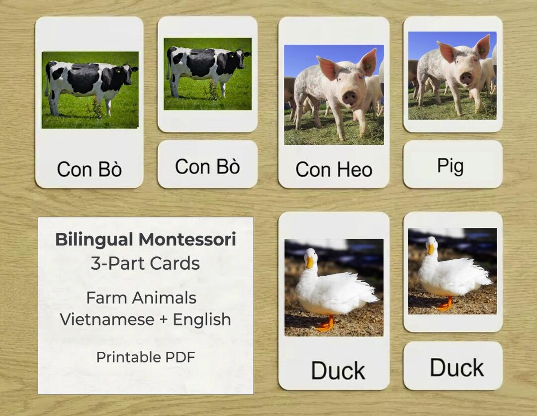 Bilingual Montessori 3-part Cards Farm Animals | Vietnamese + English ...