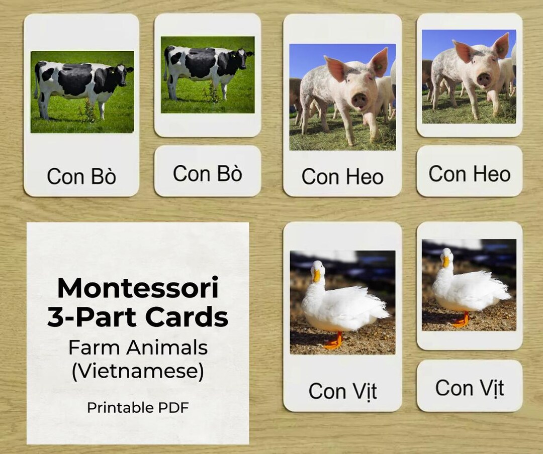 Montessori 3-part Cards Farm Animals (vietnamese) | Printable PDF - Etsy