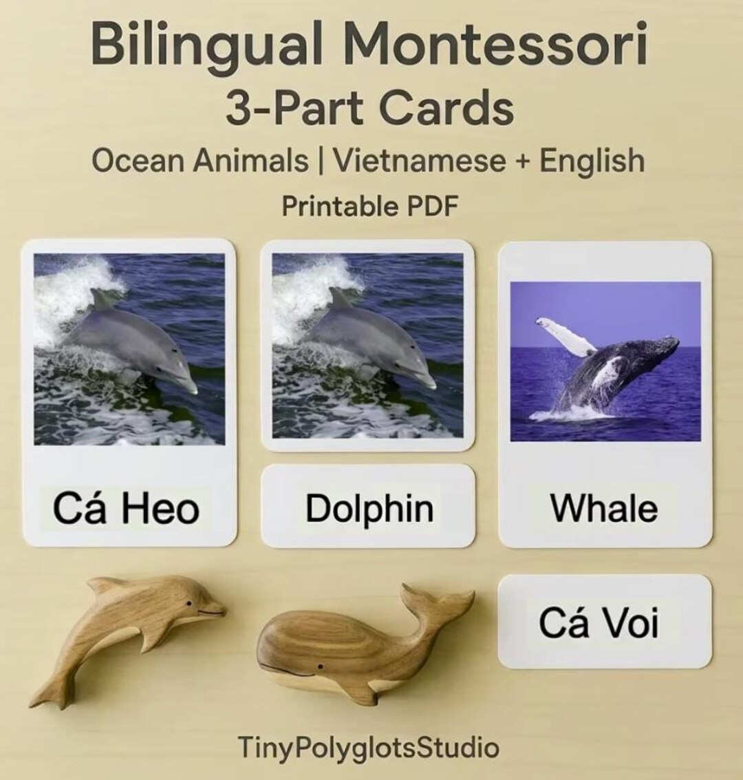 Bilingual Montessori 3-part Cards Ocean Animals | Vietnamese + English ...
