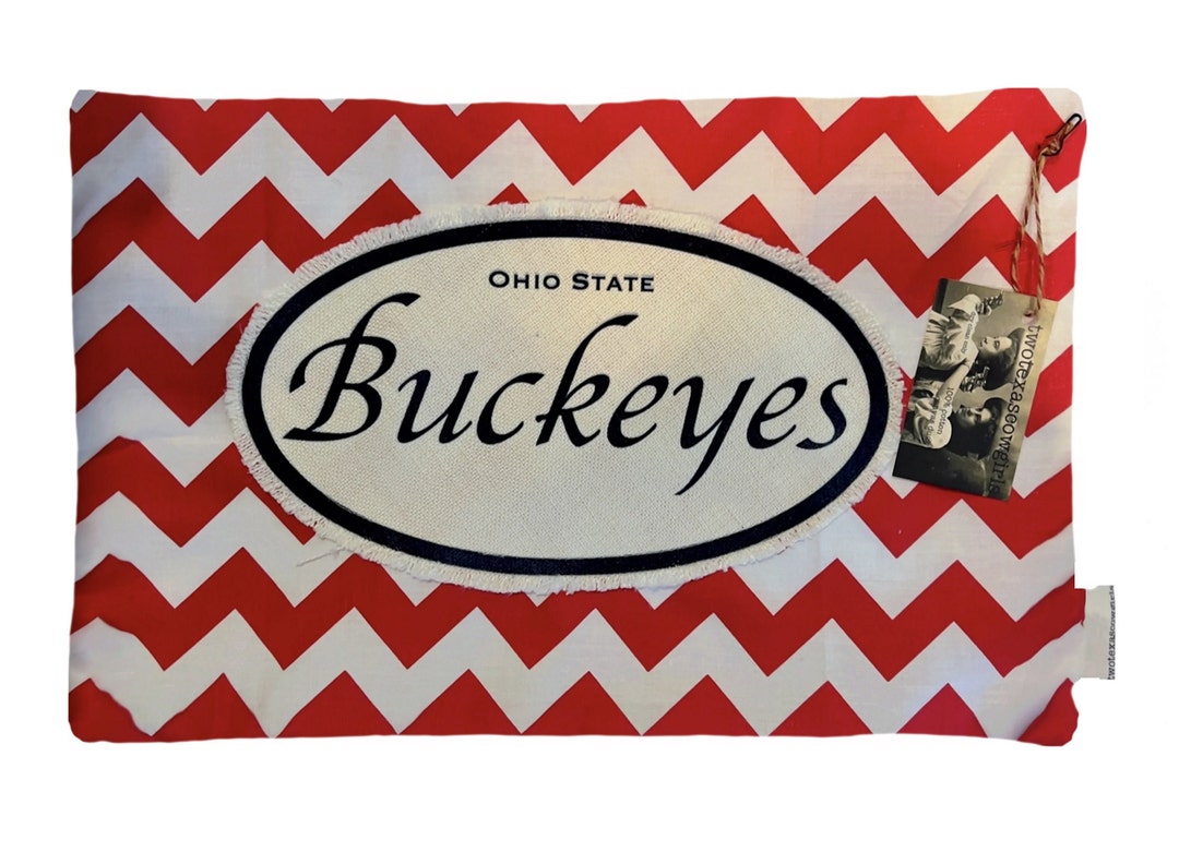 Ohio State Buckeyes Pillow | Decorative Throw Pillow | Complete With ...