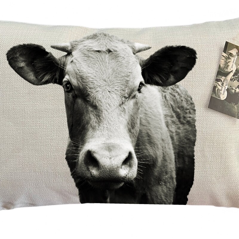 Cow Pillow - Etsy