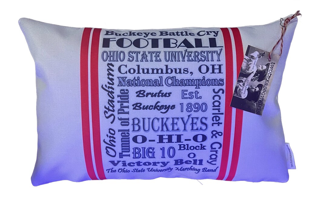 Ohio State Subway Pillow | Decorative Throw Pillow | Complete With ...
