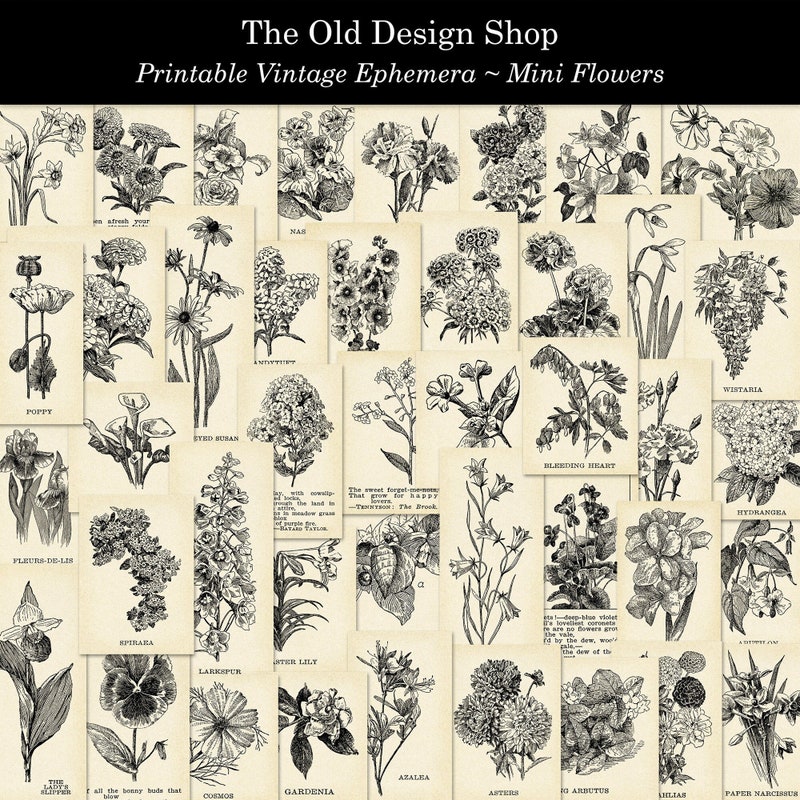 Old Black Version Of - Etsy