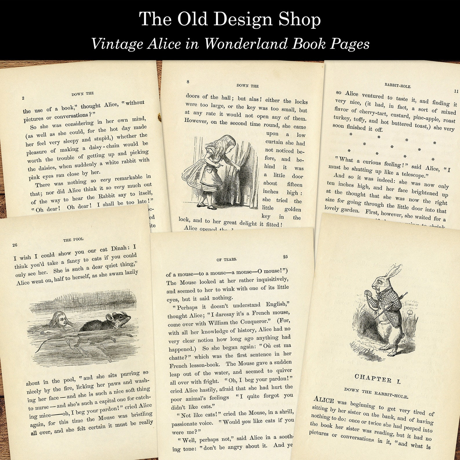 Alice in Wonderland Printable Book Pages Vintage Alice Graphics for ...