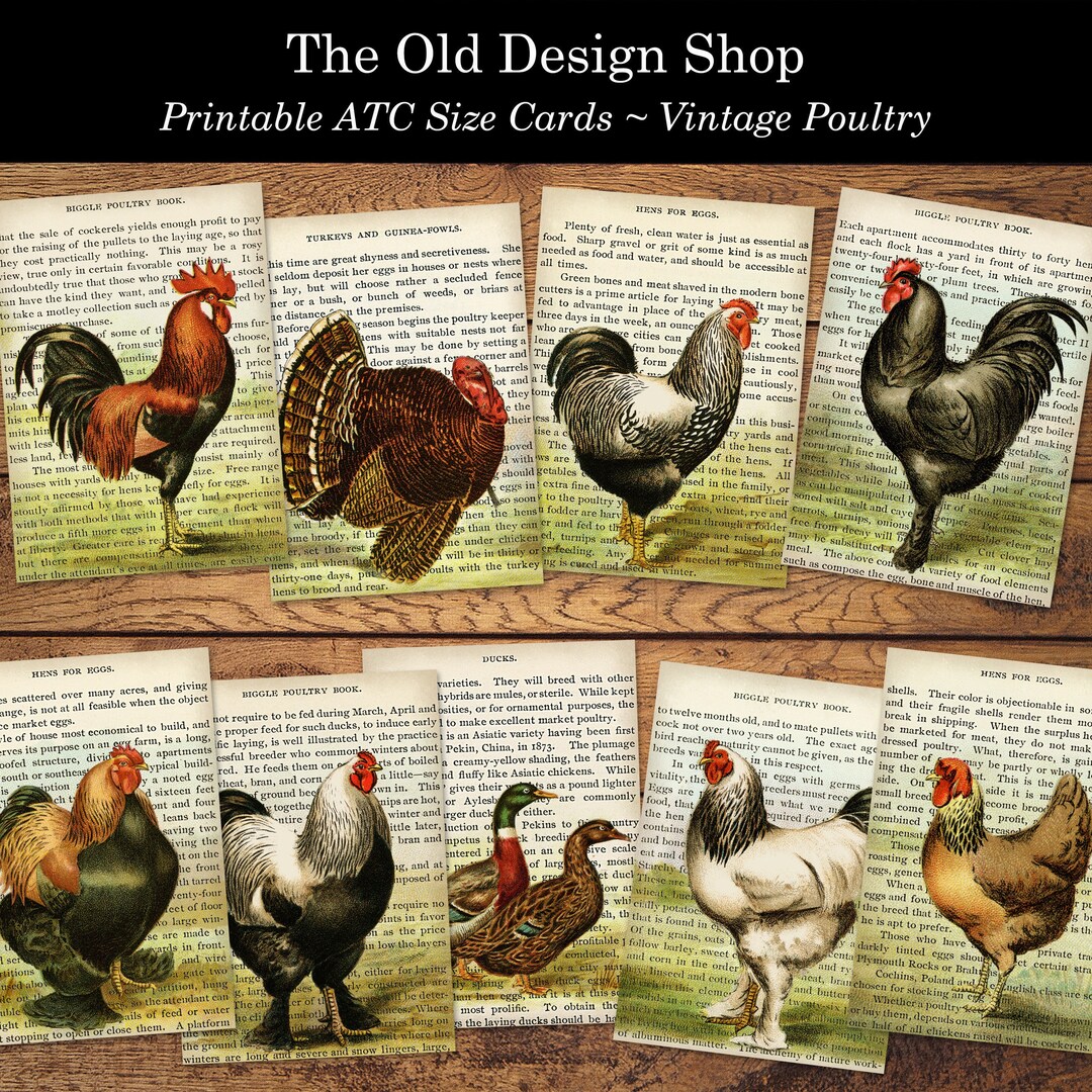 Rooster Chicken ATC Size Poultry Cards Printable Junk Journal Ephemera ...