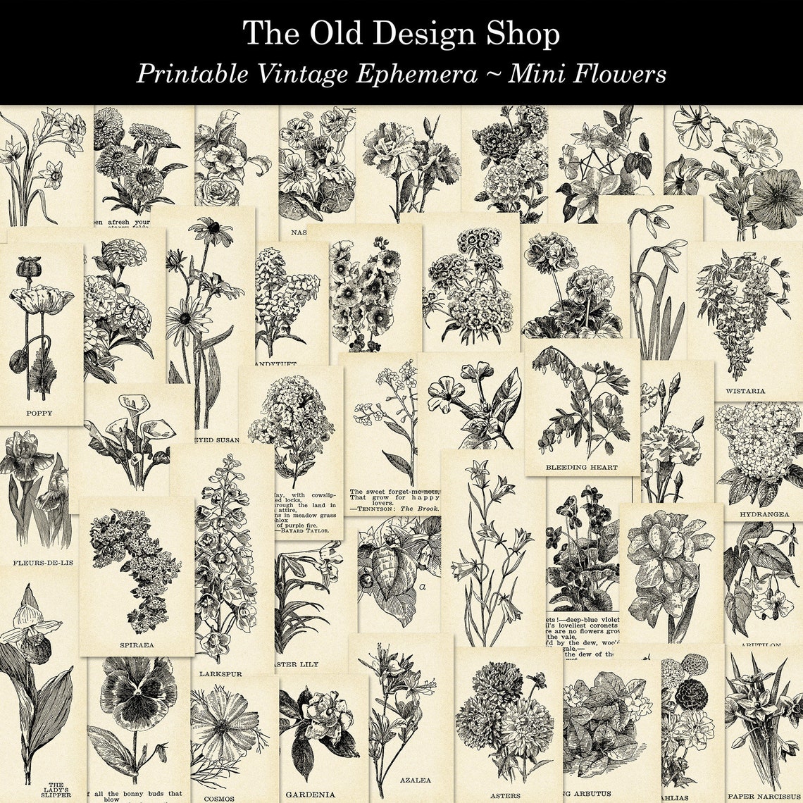 Mini Flowers Printable Vintage Ephemera Floral Clip Art - Etsy
