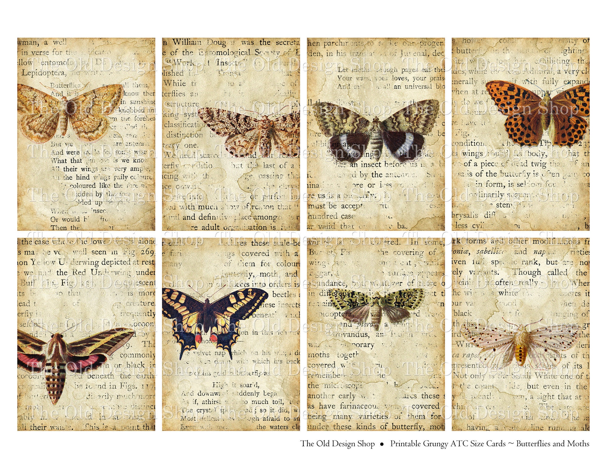 Butterflies and Moths Printable Grungy ATC Size Journal | Etsy