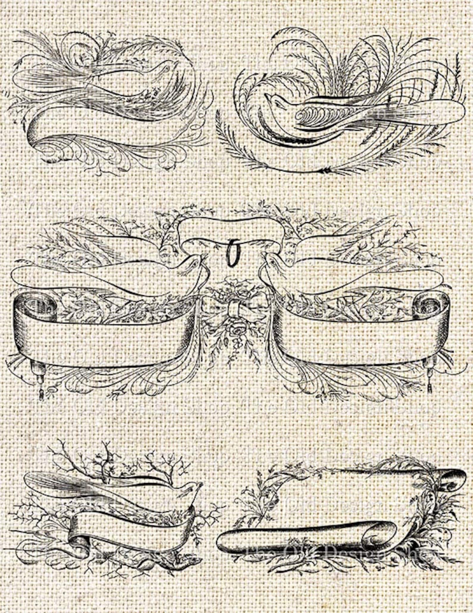 Penmanship Clip Art Flourishes Ornamental Swirl Set 1 - Etsy