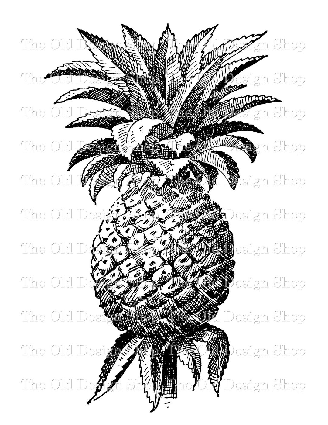 Pineapple Clipart for Cardmaking Junk Journals Ink Saver Vintage Fruit ...