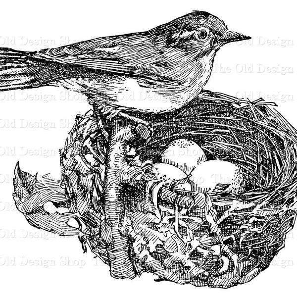 Nest Clip Art - Etsy