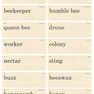 Bees Theme Flashcards Printable Bee Words Vintage Retro Style Flash ...