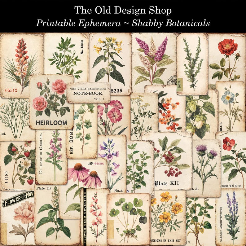 Shabby Botanical Ephemera Printable Ephemera Kit for Junk Journals ...