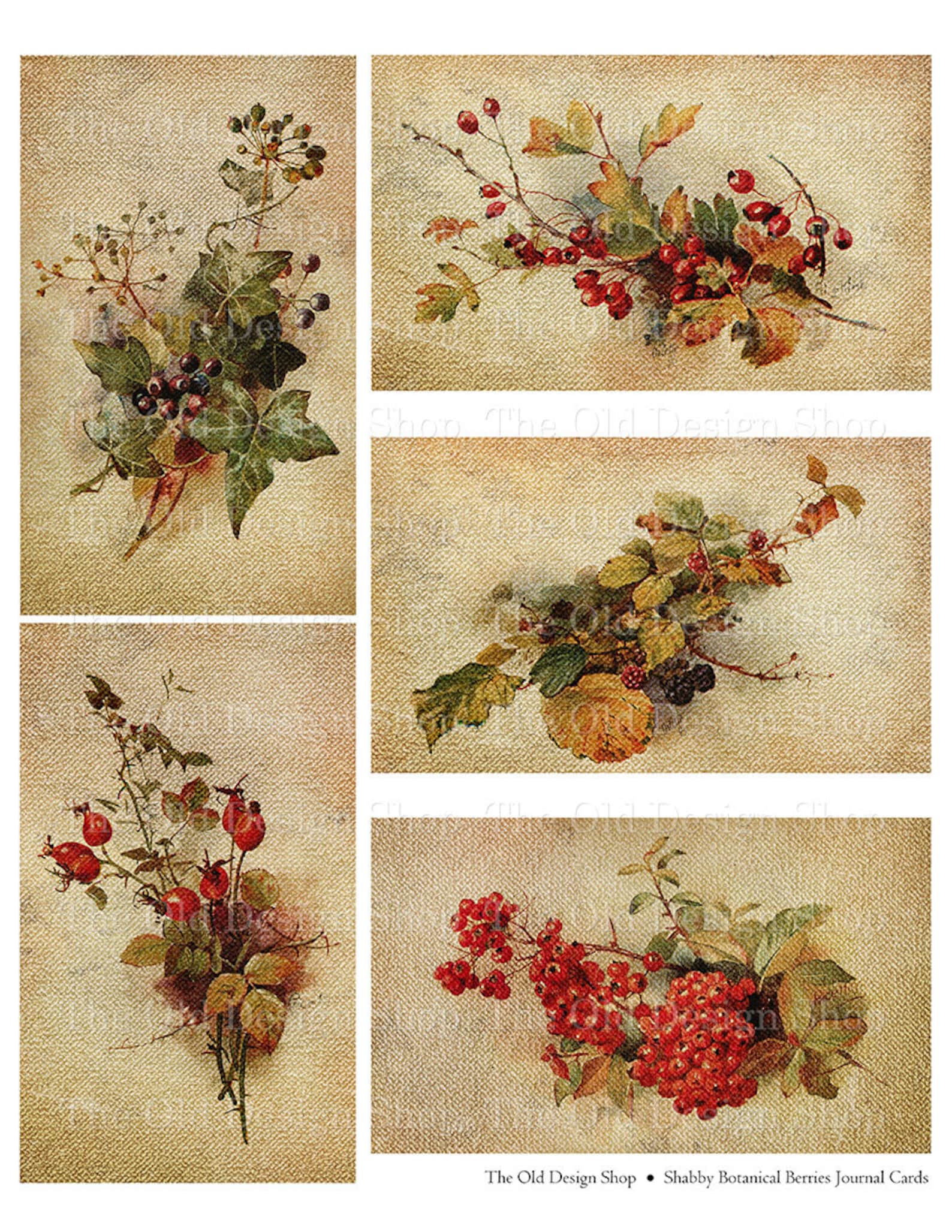 Botanical Berries Vintage Inspired Shabby Printable Cards - Etsy