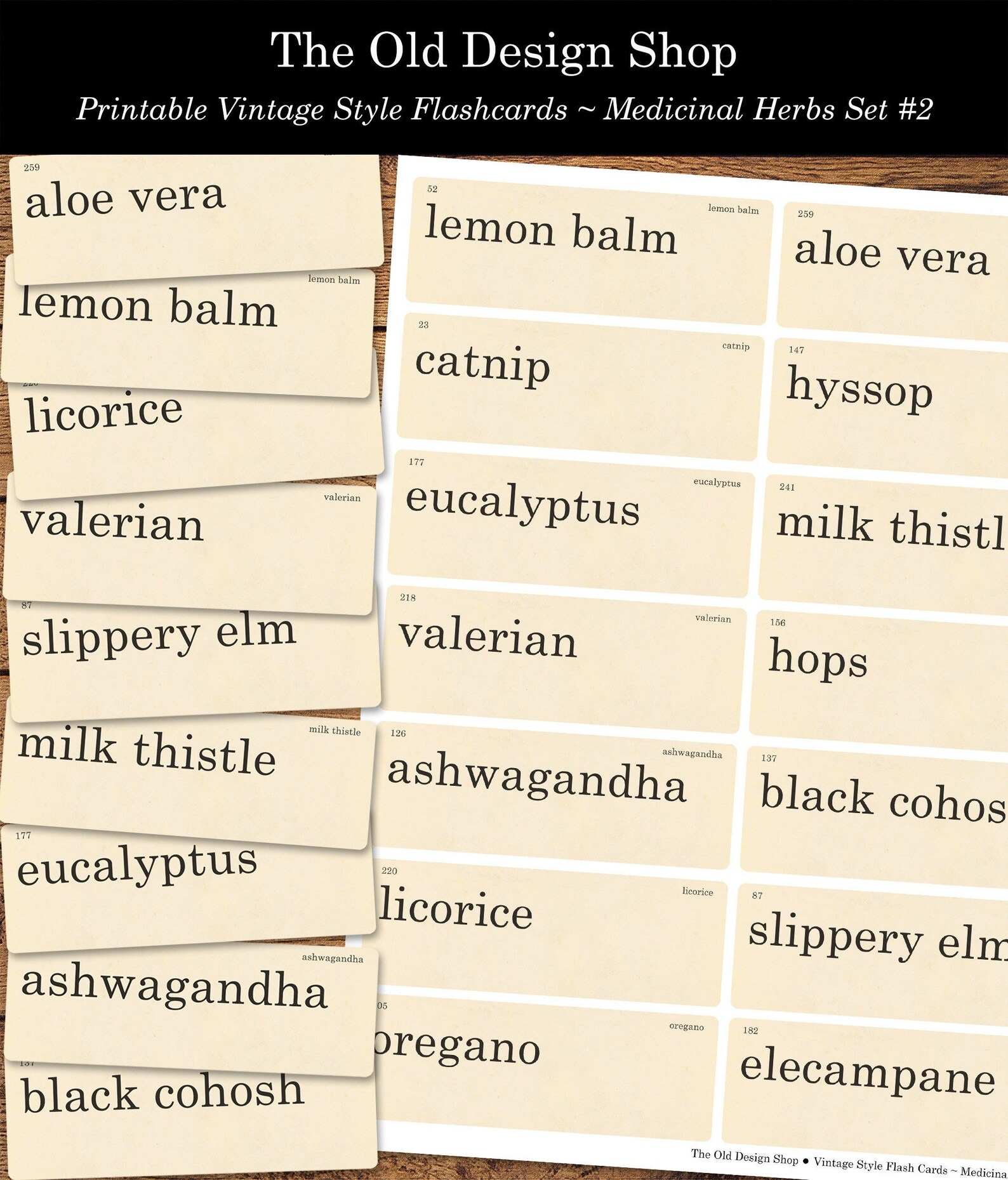 Medicinal Herbs Theme Flashcards Set No. 2 Printable Medicinal - Etsy
