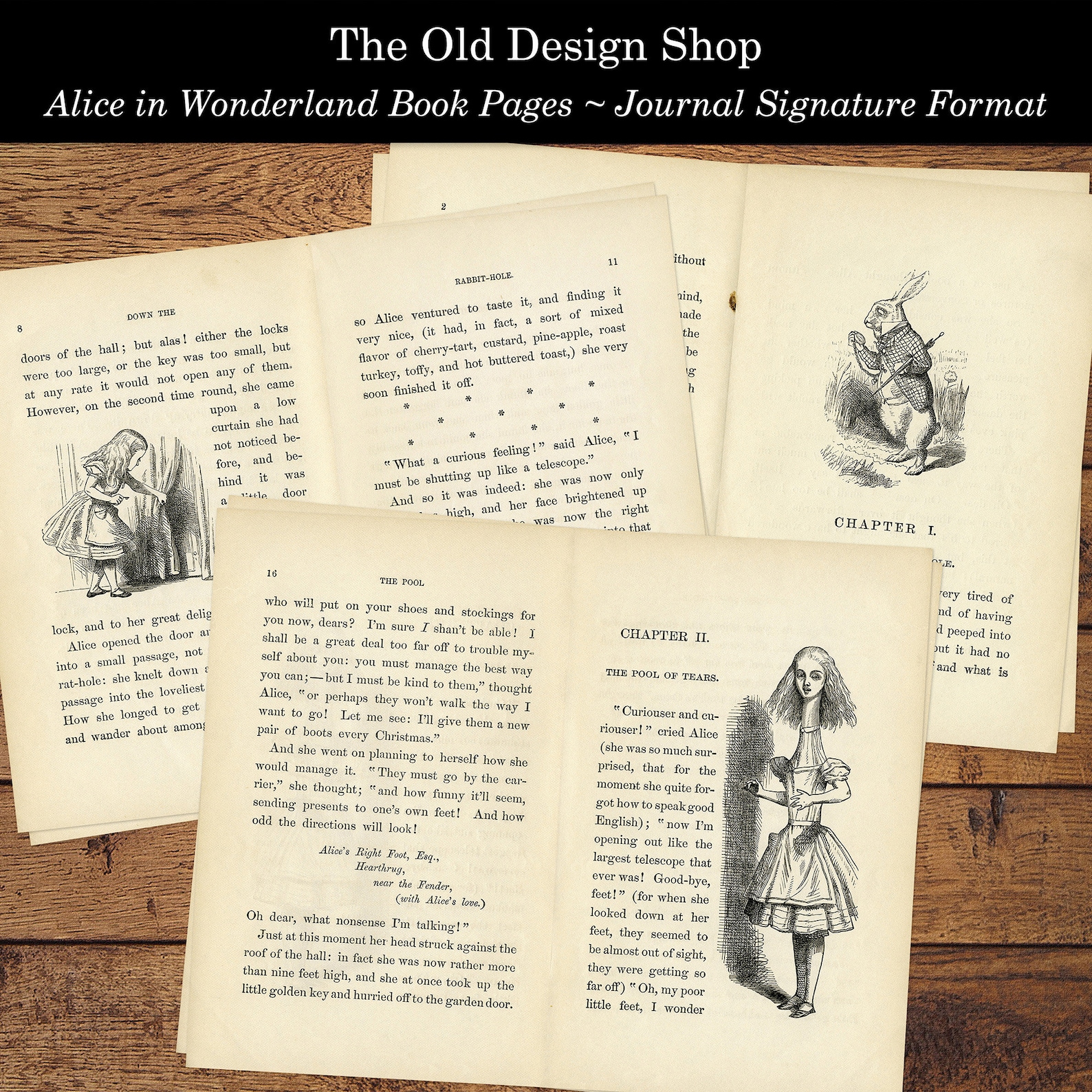 Alice in Wonderland Printable Book Pages Vintage Alice Graphics for ...