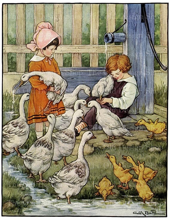 Feeding Animals Clipart