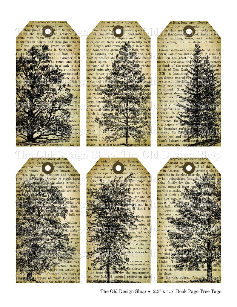 Book Page Printable Tree Tags Vintage Style Digital Collage - Etsy Canada