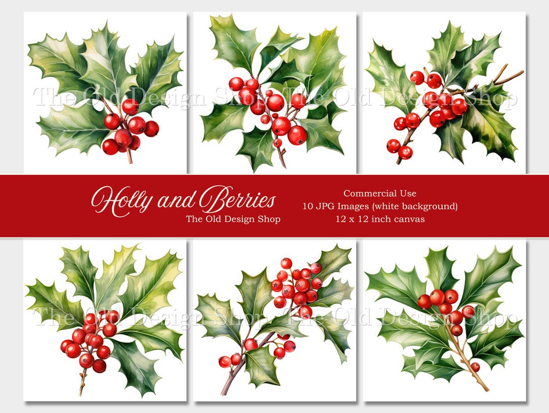 Holly and Berries Clipart for Cardmaking Sublimation Transfer Vintage ...