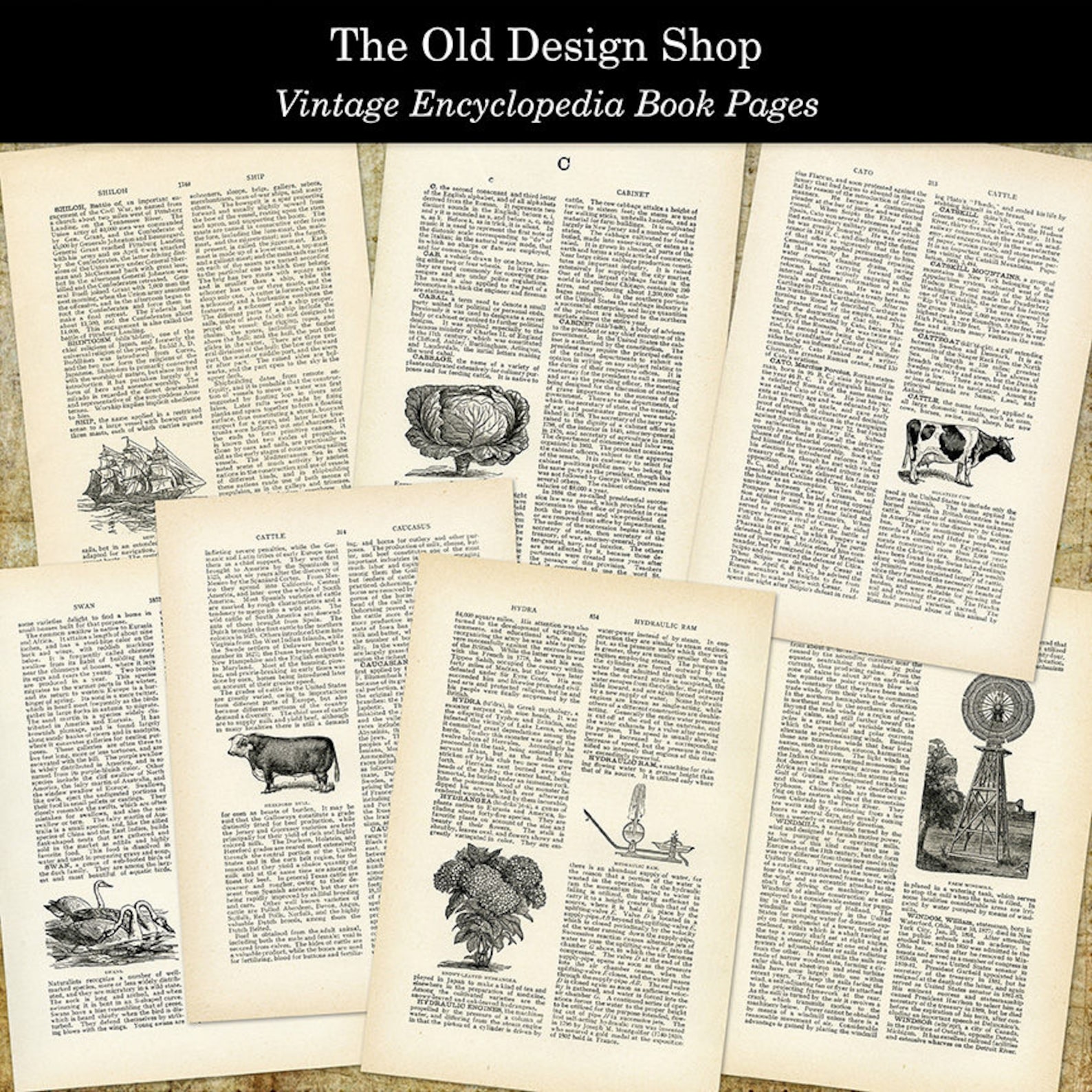 14 Vintage Encyclopedia Book Pages Commercial Use Digital Download JPG ...