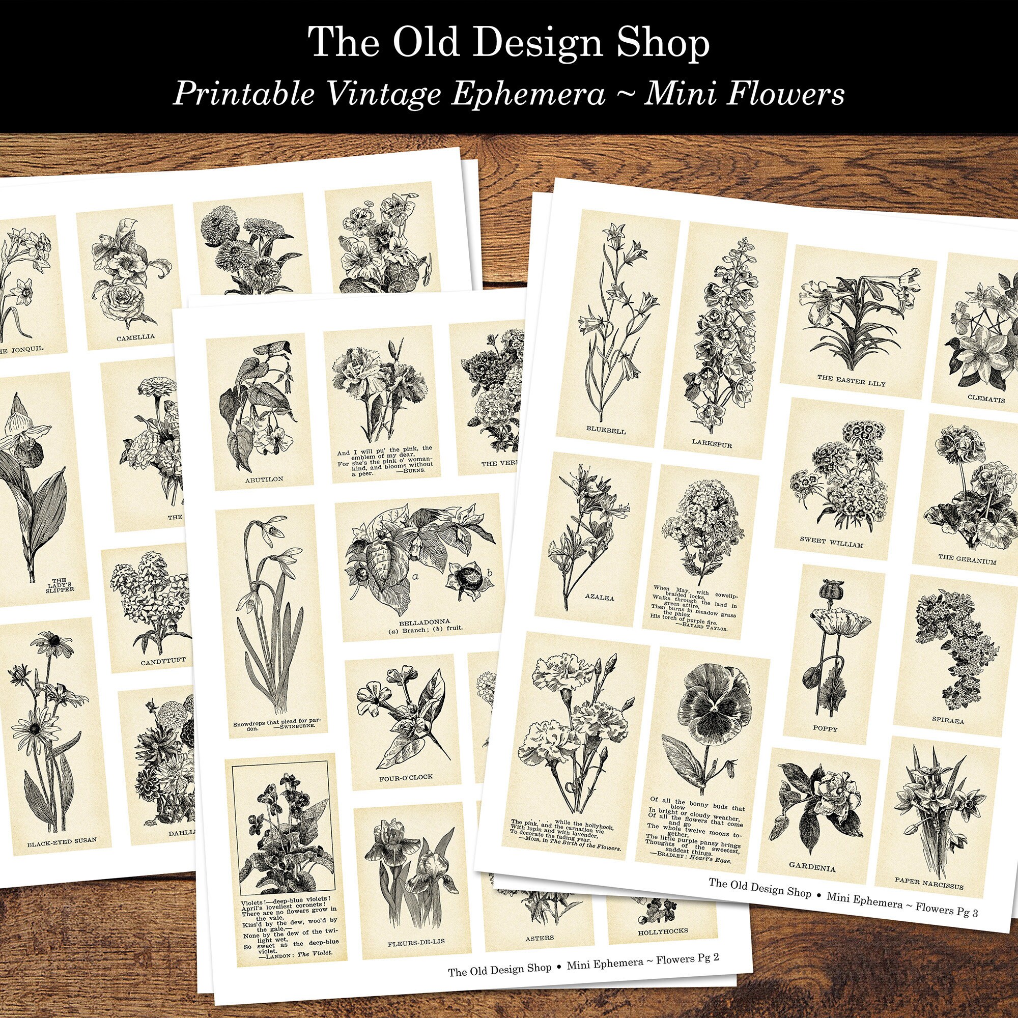 Mini Vintage Flower Ephemera, Printable Clipart, Digital Download - Etsy