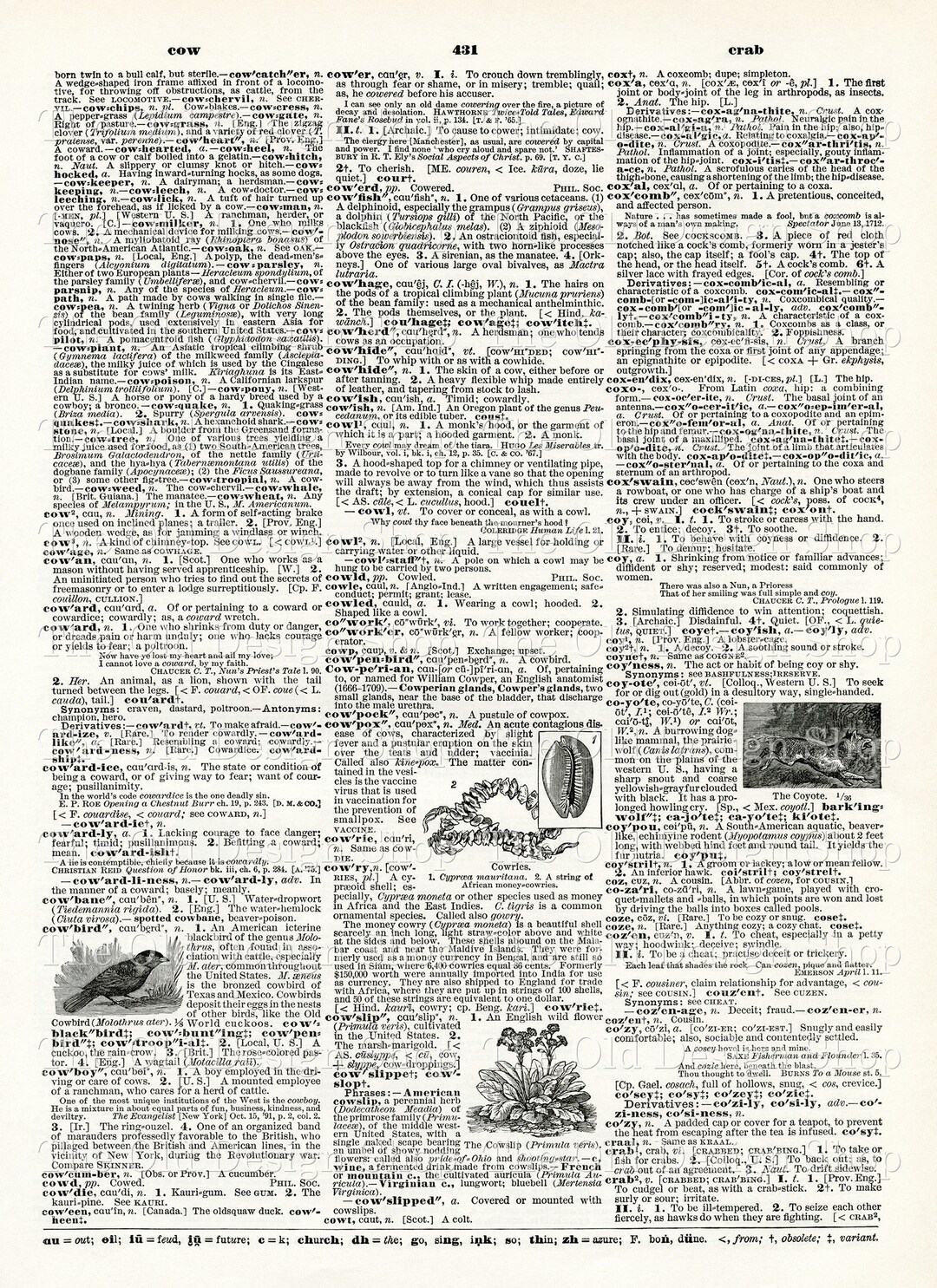 Dictionary Page Printable Definition for Cowbird Cowboy Cowhide Cowl ...