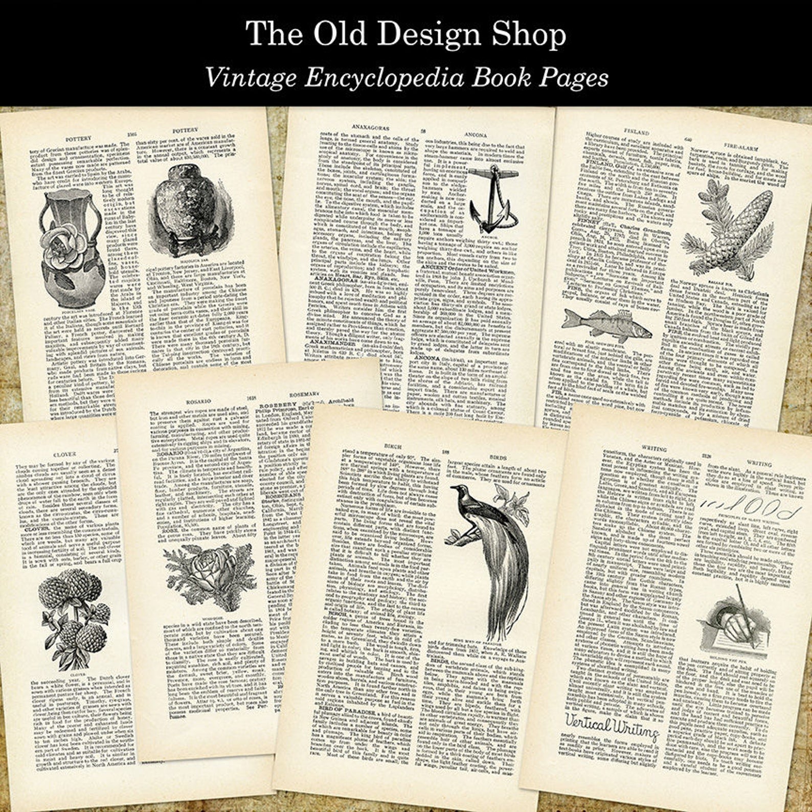 14 Vintage Encyclopedia Book Pages Digital Download JPG Format - Etsy ...