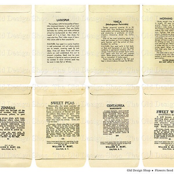 Seed Packet Template - Etsy
