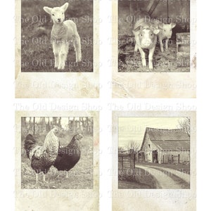 Printable Farm Pictures Shabby Photos Aged and Worn Vintage Polaroid ...